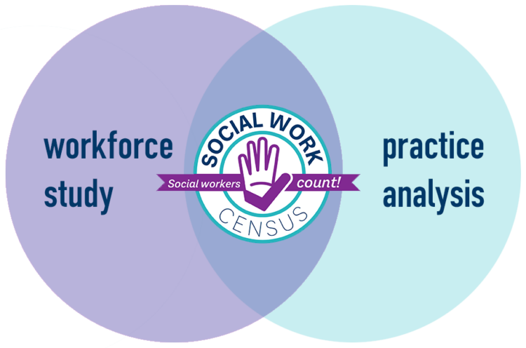 How will the data from the Social Work Census be used? | Social Work Census